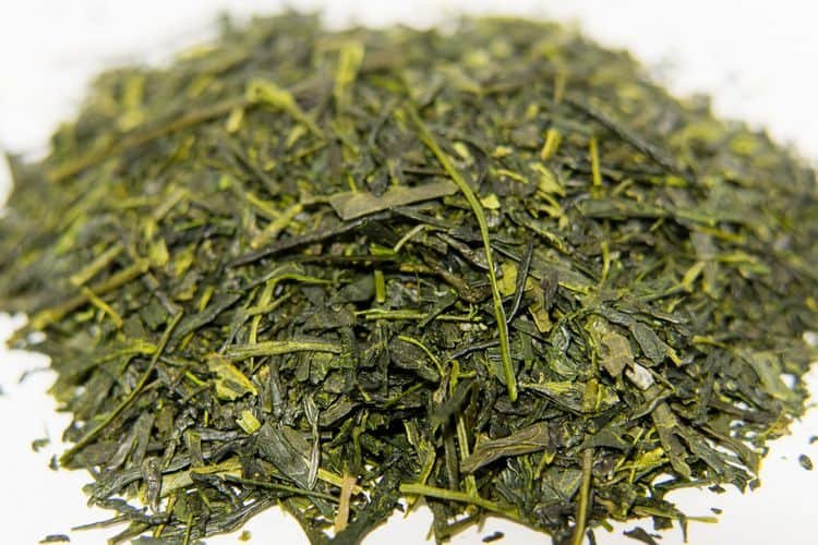Sencha Guide