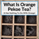 What Is Orange Pekoe Tea? (It Has Nothing To Do With Orange!)
